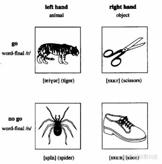 心理学认知实验范式
