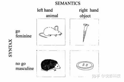心理学认知实验范式
